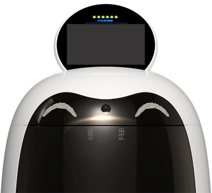 Exclusive: How Hyundai Motor Group leverages autonomous robots to ...